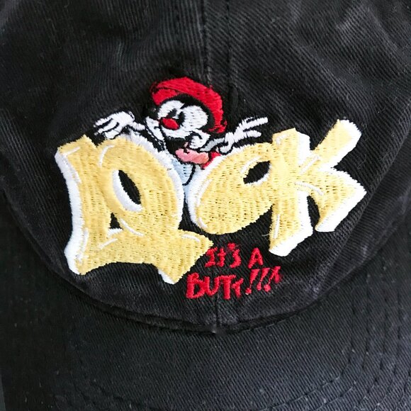 Warner Bros. | Accessories | Vintage Warner Bros Animaniacs Embroidered ...